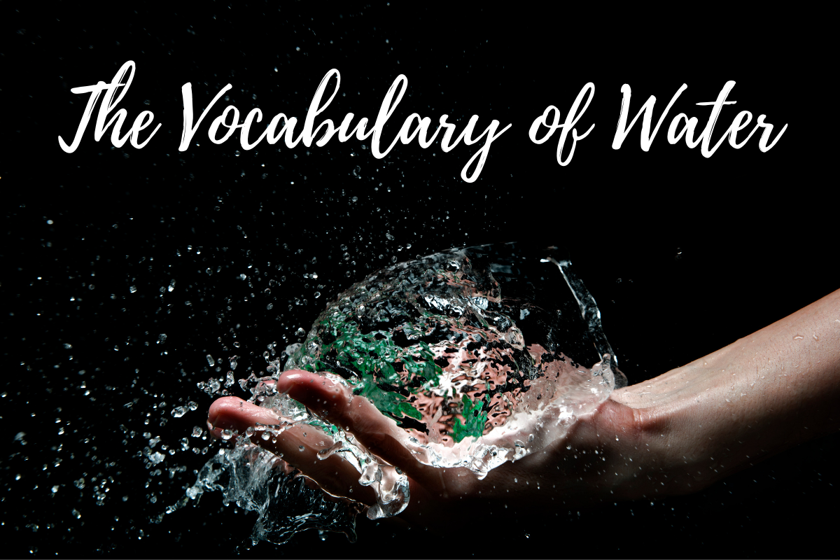 The Vocabulary of Water - The Thoughtful Rower