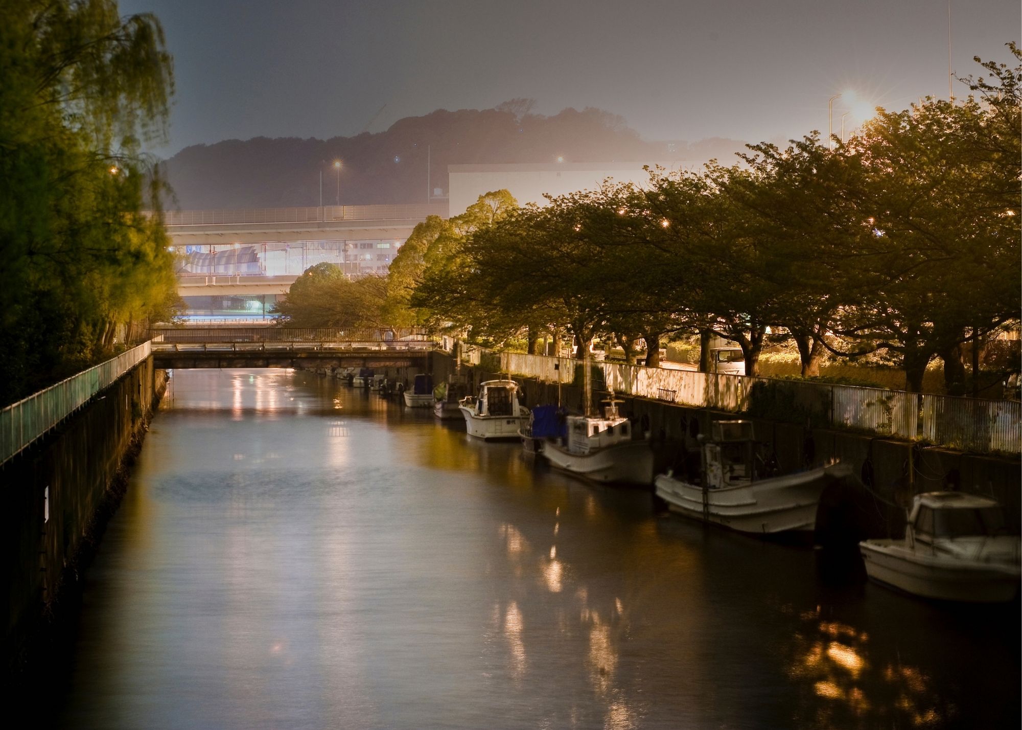 Rowing into Family in Japan - The Thoughtful Rower